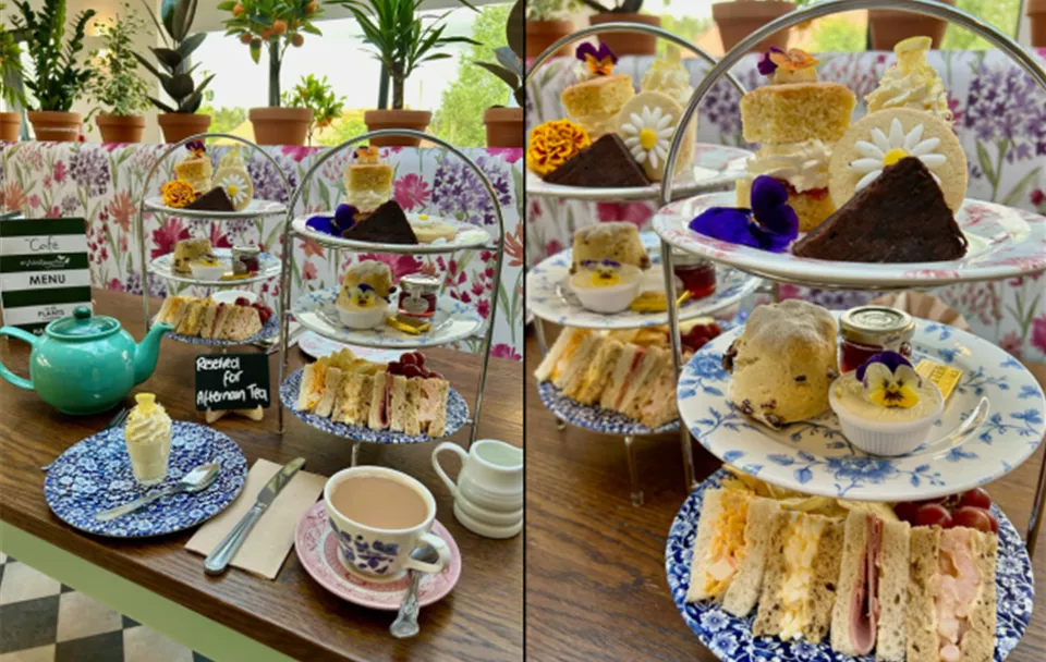 Afternoon Tea - Whitegates Nursery