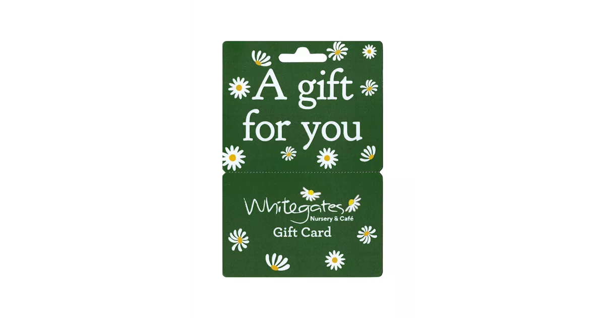 Gift Card - Dark Green