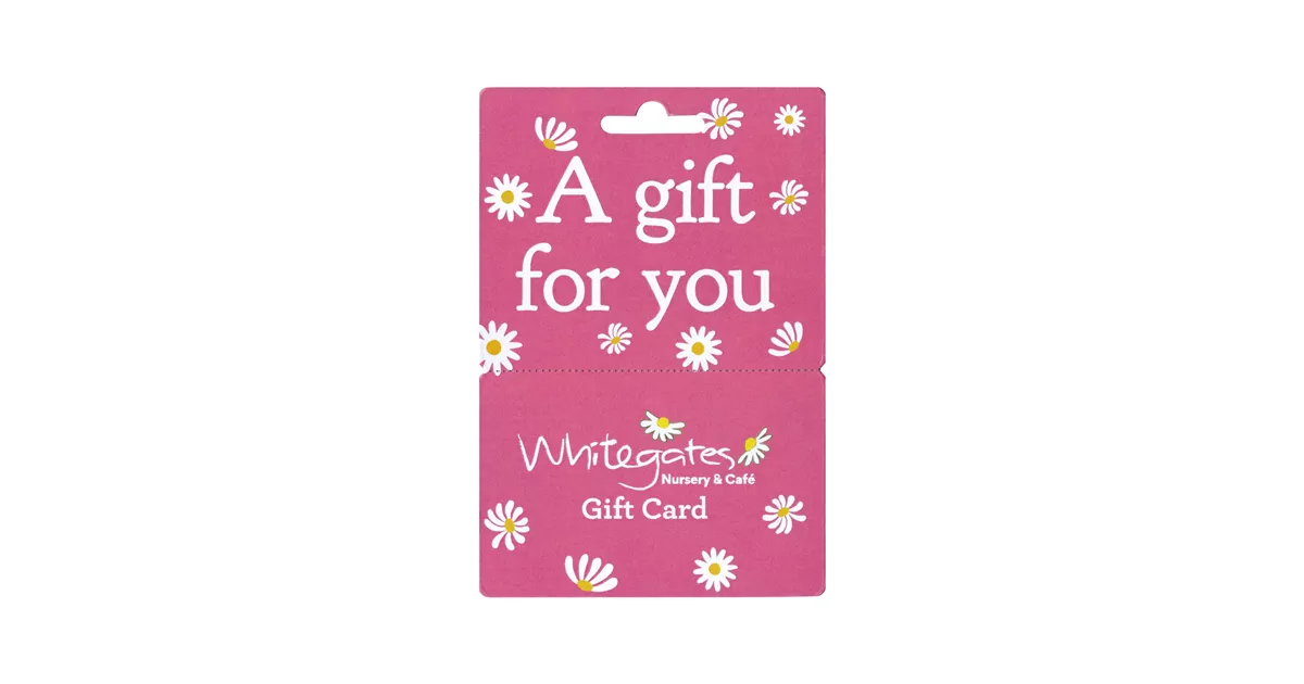 Gift Card - Pink